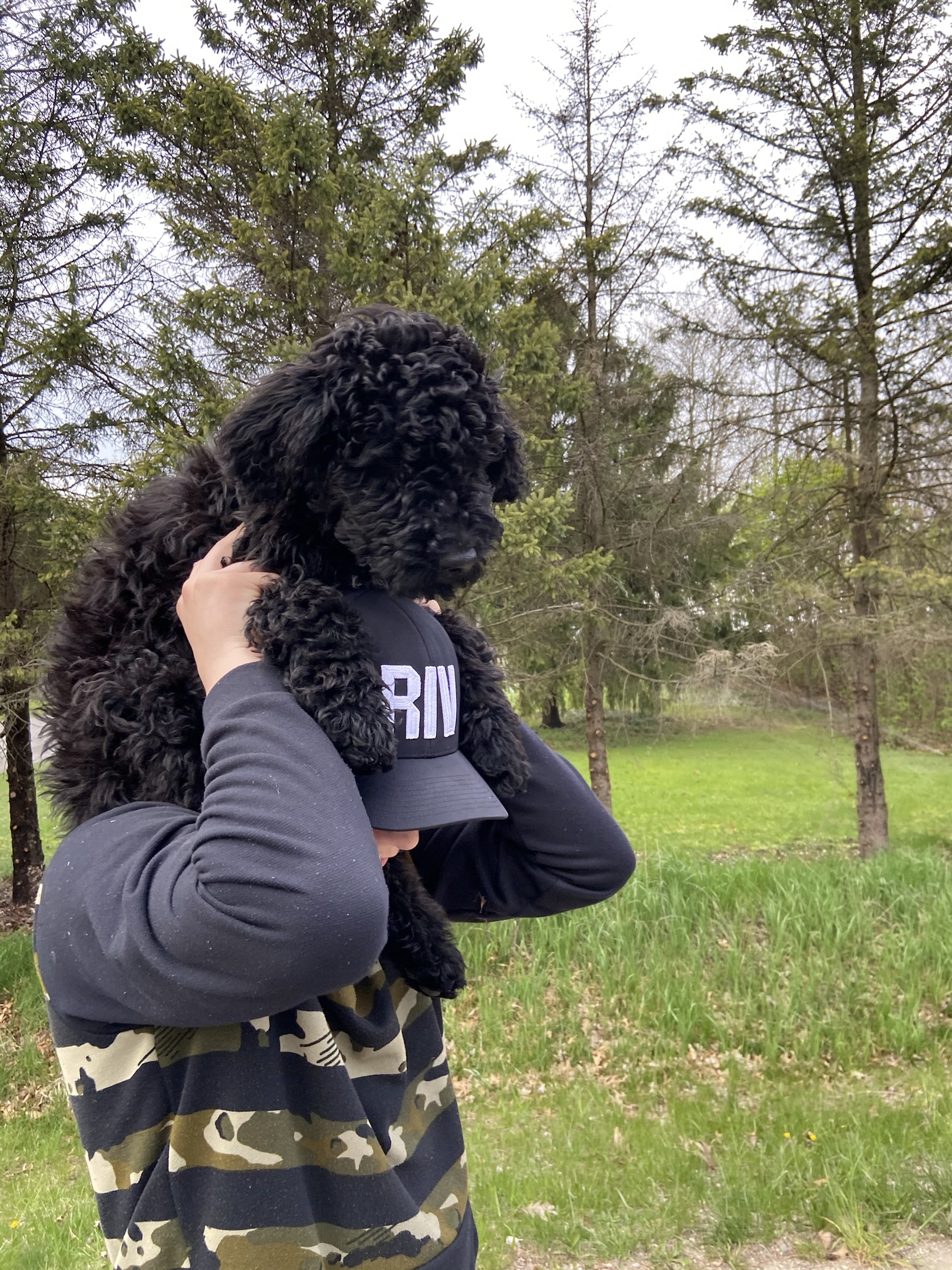 It's okay to not be okay right now. - Allyson Apsey