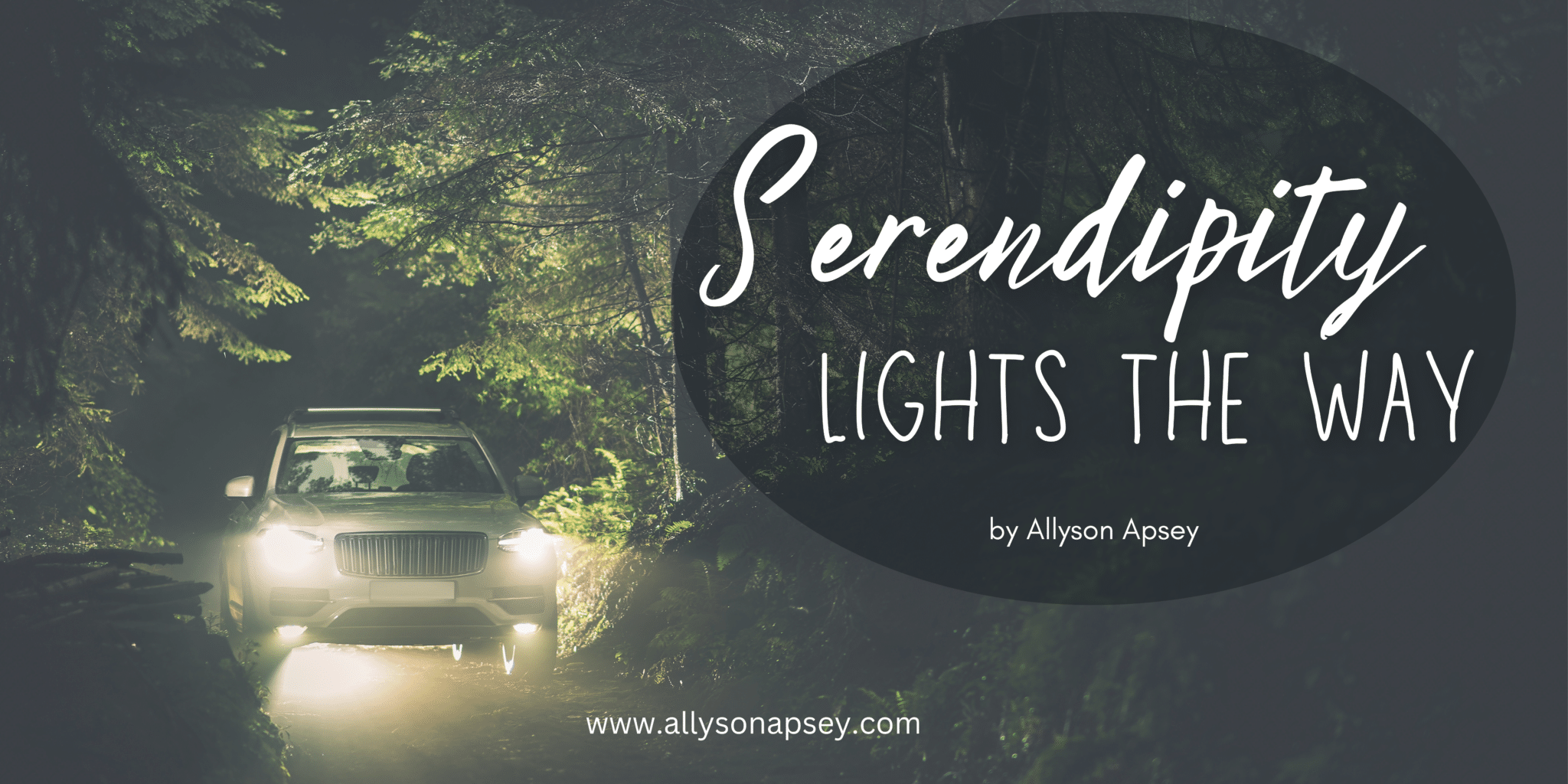 Serendipity Lights the Way - Allyson Apsey